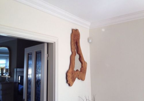 Coving and centerpiece examples of our work